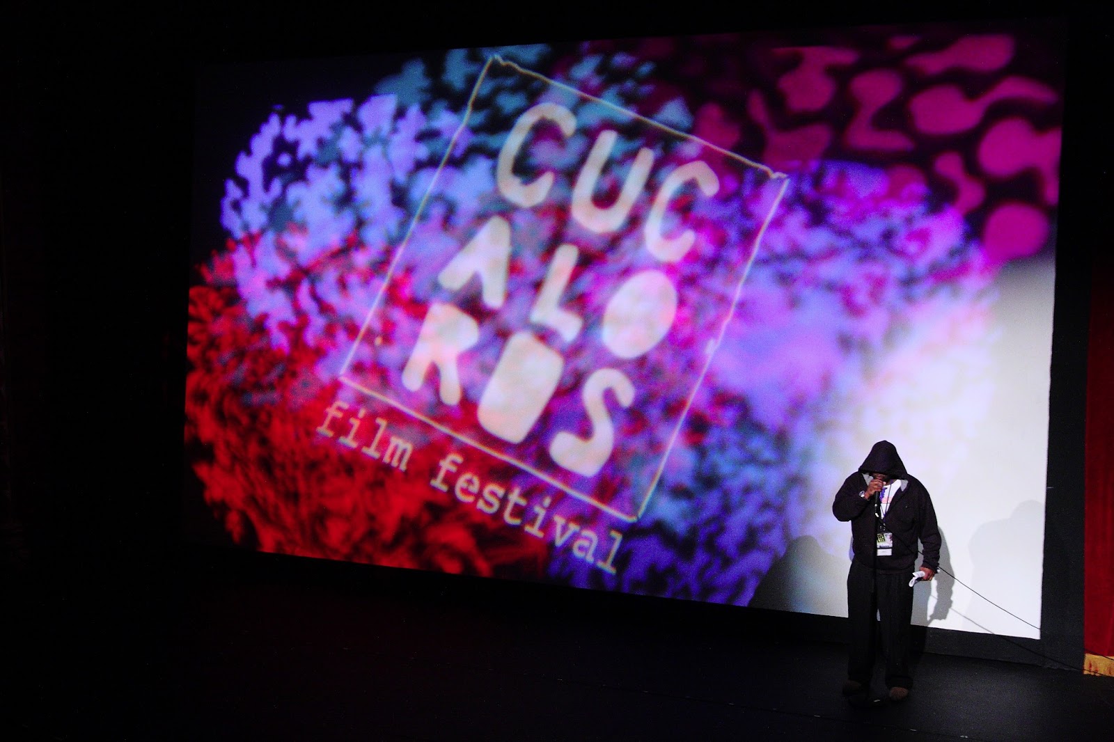 Cucalorus Film Festival | StoryMuse